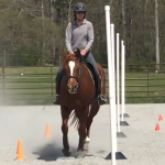 Working Equitation Mastery - Working Equitation Simplified