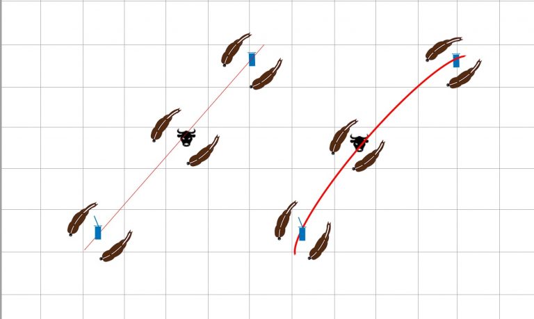 Question: How Close Should I Be To The Bull? - Working Equitation ...