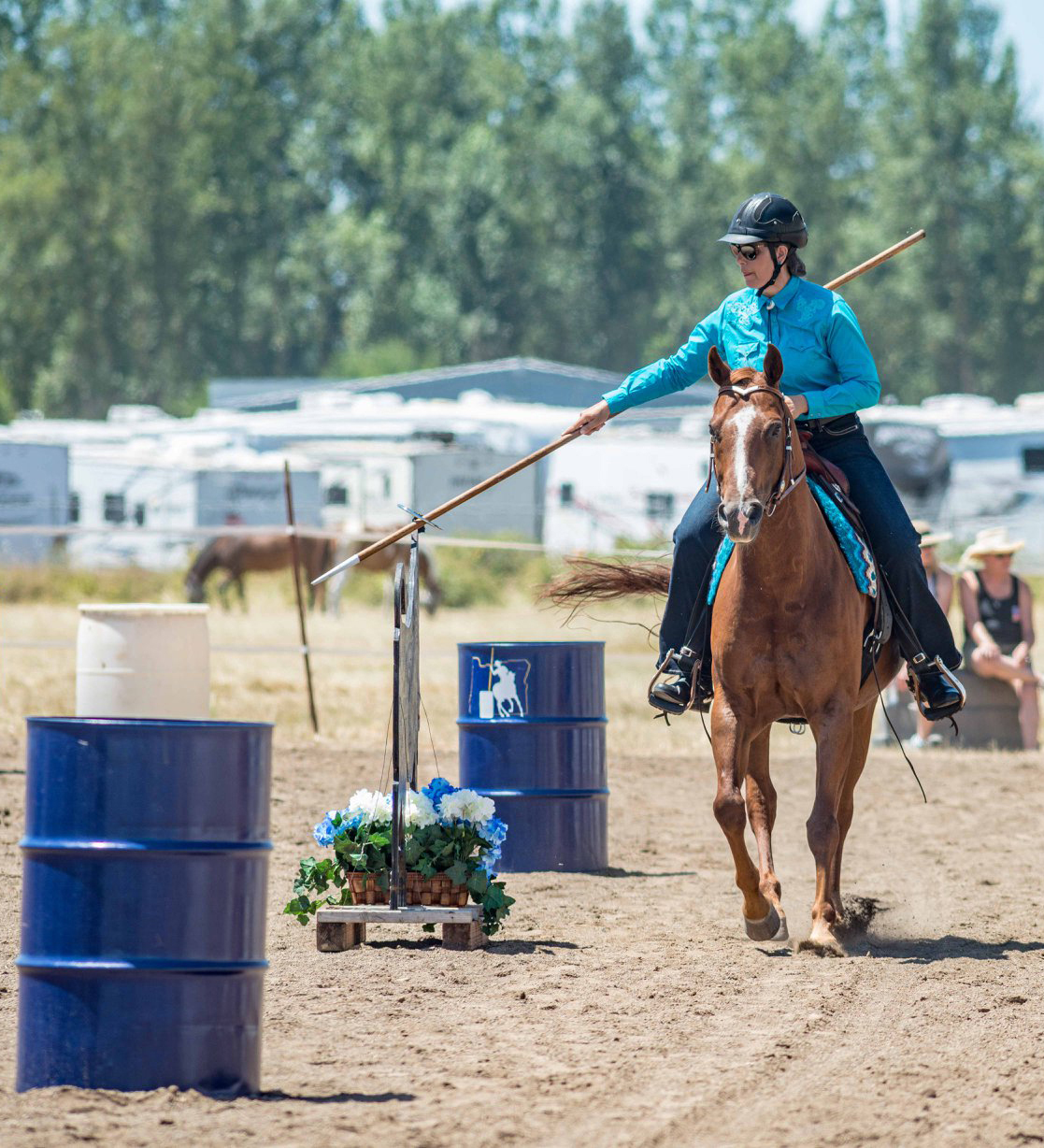 Question: How Close Should I Be To The Bull? - Working Equitation ...