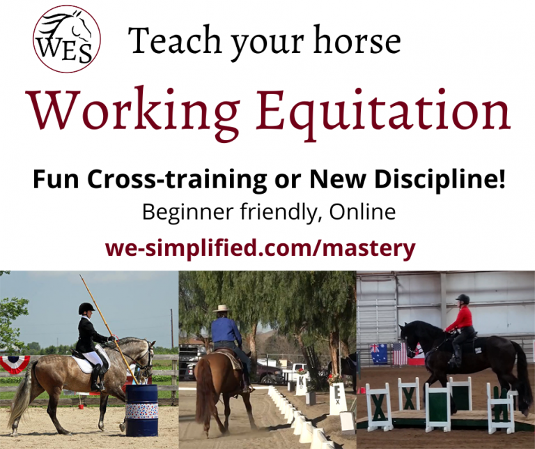 Tips for Working Equitation Course Design (and Riding) - Working ...