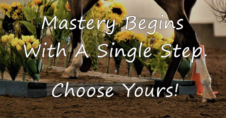 Working Equitation Mastery - Working Equitation Simplified